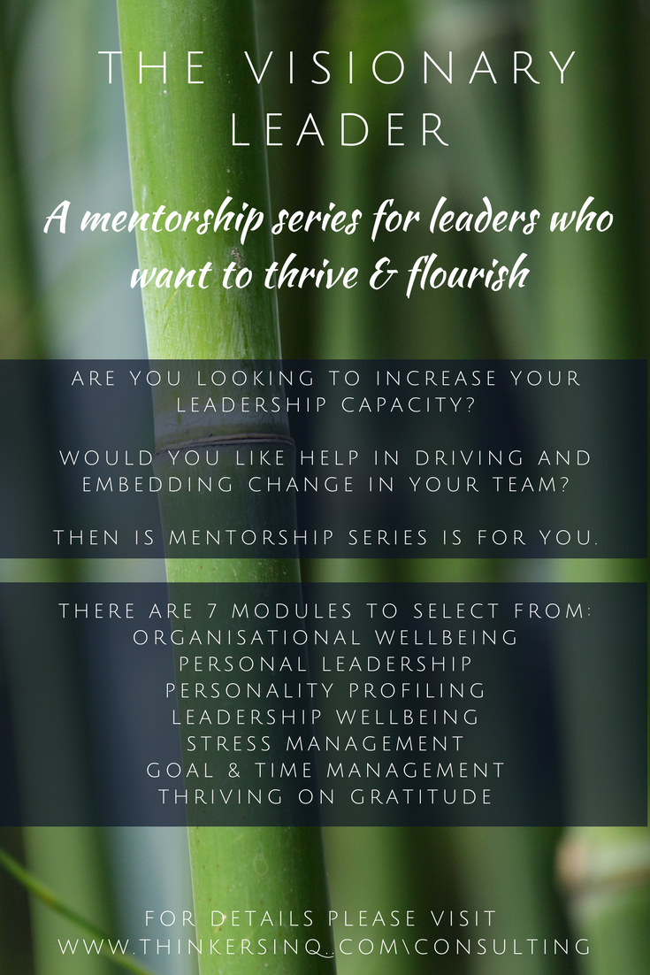 A Visionary Leader ~ A Mentorship Series | The Flourishing Leader ~ A ...